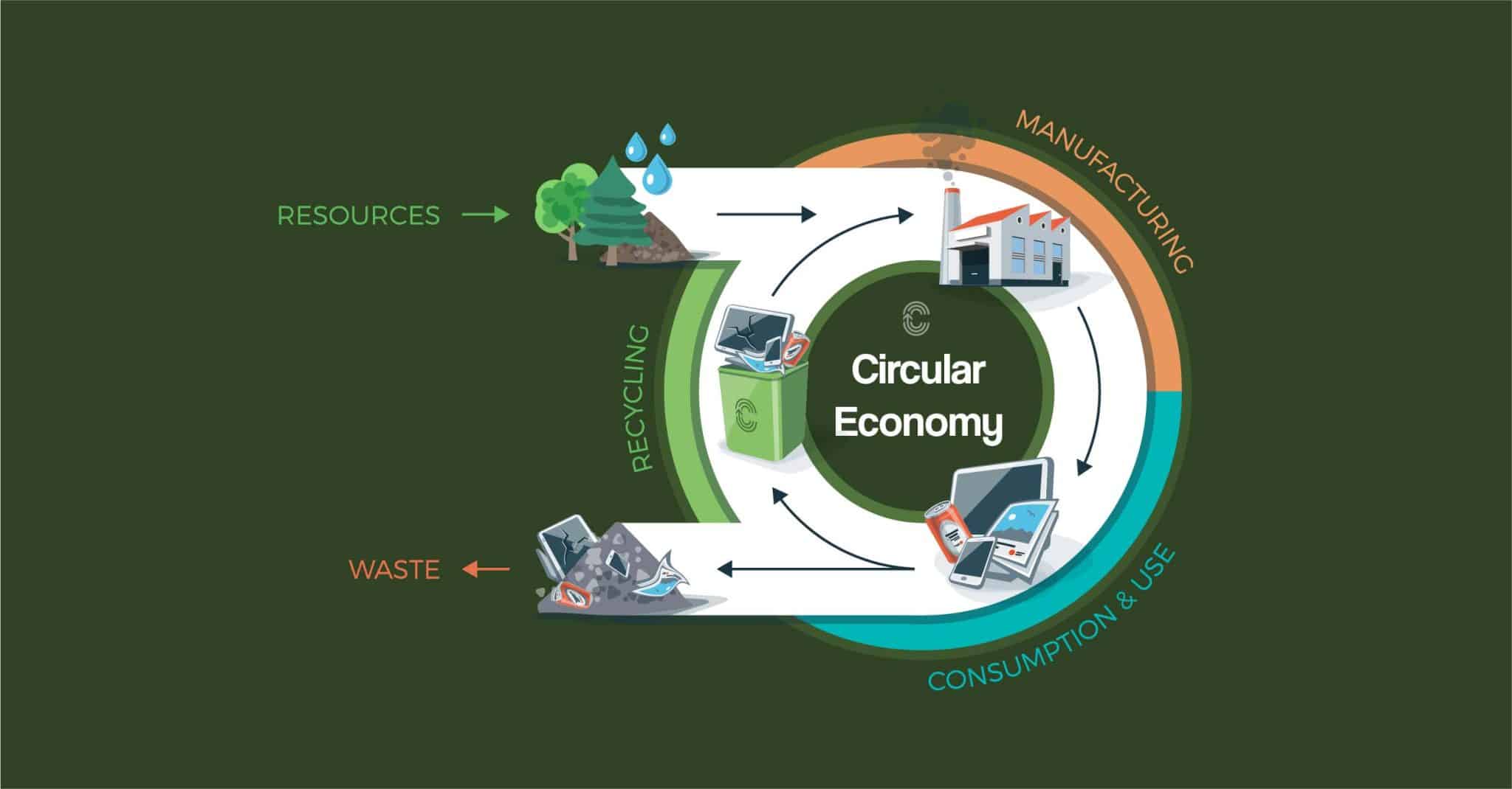 Understanding the Circular Economy: How CycleCents Contributes - CycleCents